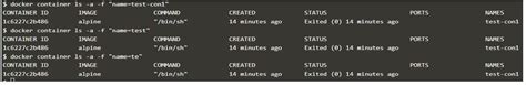 Docker List Containers How To List Containers In Docker Examples