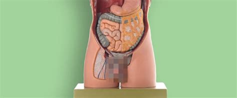 Food And Sex The Perfect Meals To Eat Before Sex