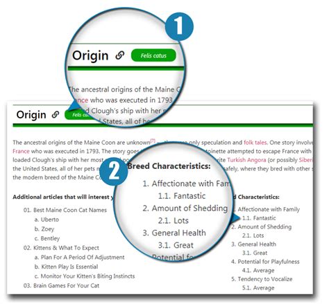 Home Creative Add Ons For Elementor