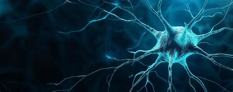 Exploring The Intricacies Of Neurons The Fascinating World Of Nervous System Cells Premium Ai