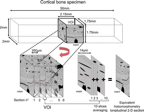 Figure From Quantification Of Nonlinear Elasticity For The Evaluation Of Submillimeter Crack