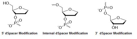 Abasic Furan Dsapcer Oligonucleotide Modification