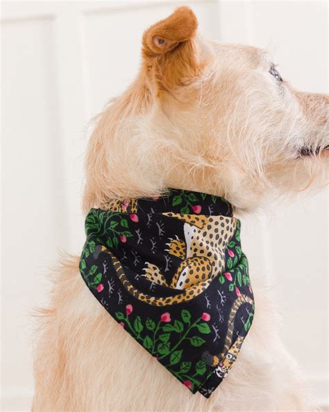 Dog Bandanas Shop Pet Bandanas Printfresh