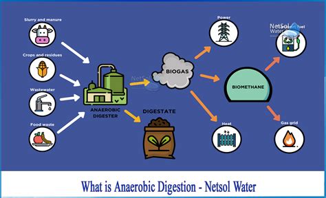 Anaerobic Digester Flow Diagram