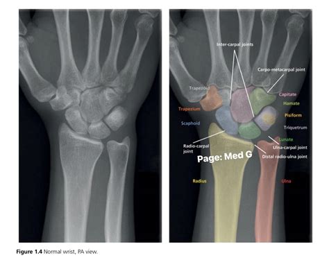 Med G Med G Added A New Photo