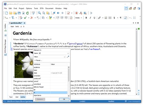 Whats New In Oxygen Xml Editor 210
