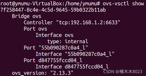 docker ovs构建sdn网络 ovs docker csdn博客
