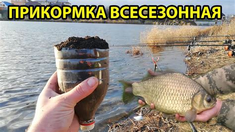 Прикормка у нас под ногами для холодной воды,прикормка на карася леща ...