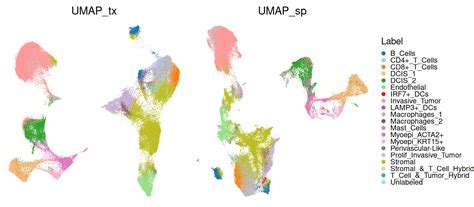23 Dimensionality Reduction Orchestrating Spatial Transcriptomics Analysis With Bioconductor