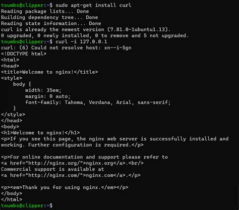 setting up nginx