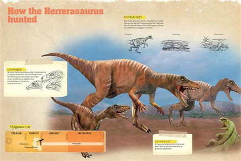 Herrerasaurus Size