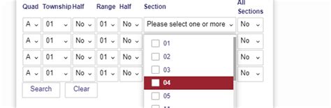 clear from a multi select option esri community
