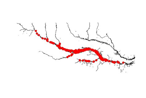 Stephen D Gregory Coordinate Conversions In R