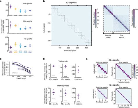 decoding shortened temporal epochs a decoding accuracies for different