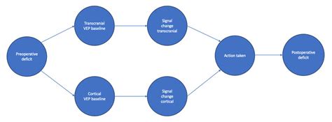 Representation Of The Bayesian Networks Nodes And Edges Download Scientific Diagram