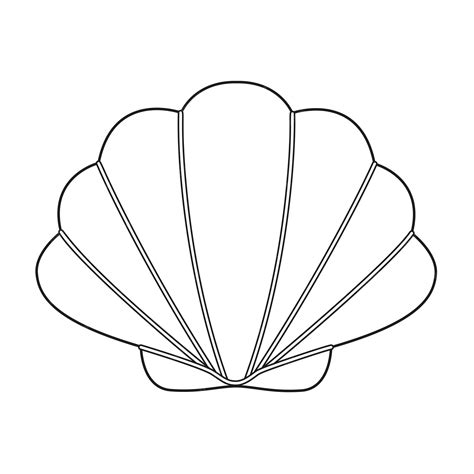 Premium Vector Seashell Black And White Outline Art Therapy Coloring Page