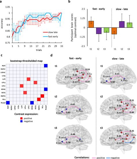 functional connectivity dynamics by learning stage and group