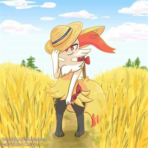 Pin De Brony Rain En Love Of Fennekin Evolution Arte Pokemon Fotos De Pokemon Dibujos