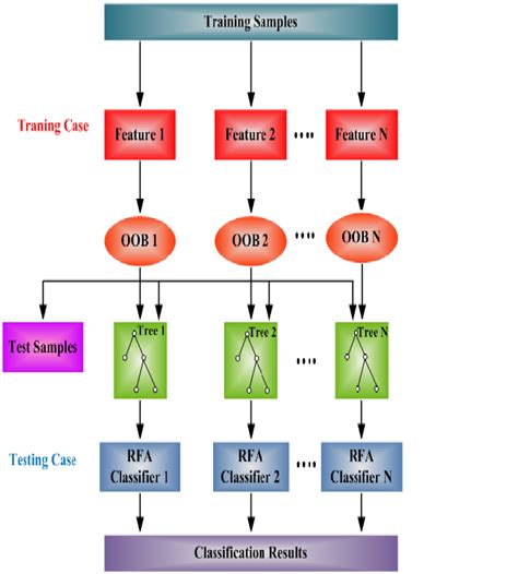 Structure Of The RFA Download Scientific Diagram