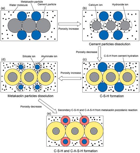 Typical Diagram Of The Early Age Hydration Process For Cement Paste Download Scientific Diagram