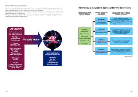 Hormone Flow Chart