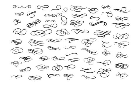 10 649 Cursive Lines Stock Vectors And Vector Art Shutterstock