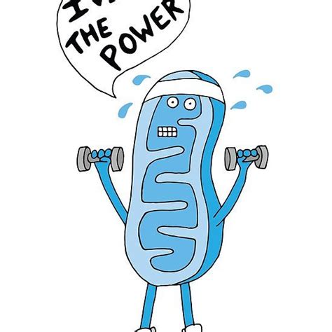 Funny Mitochondria Ive Got The Power Of Biology By Geek Topia