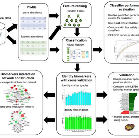 iMeta 南农沈其荣团队发布微生物网络分析和可视化R包ggClusterNet 知乎