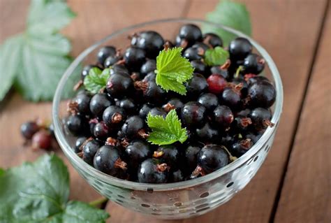 Как приготовить настойки в домашних условиях 5 обалденно вкусных и простых рецептов