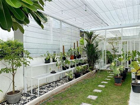 Diy “โรงเรือนปลูกต้นไม้” เรียบง่ายตามสไตล์มินิมอล สร้างด้วยงบหมื่นต้น ๆ