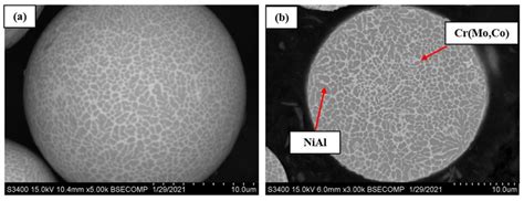 The Microstructure Of The Surface A And The Transverse Cross Section