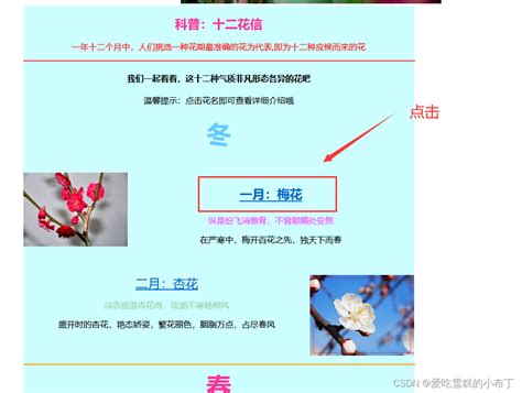 静态网页课程设计——十二花信（花朵科普）（htmlcssjavascript）手机端 静态html花品简介介绍 Csdn博客