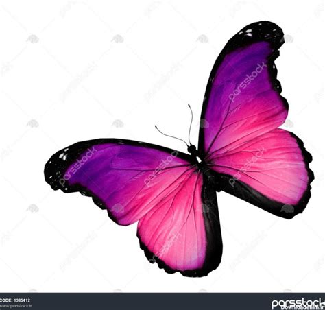 دانلود عکس پس زمینه کامپیوتر گیمینگ