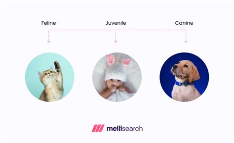 What Are Vector Embeddings A Complete Guide [2025]