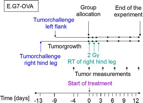 Abscopal Effects Of Radiotherapy And Combined Mrna Based Immunotherapy In A Syngeneic Ova