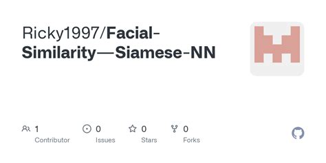 Github Ricky1997 Facial Similarity Siamese Nn