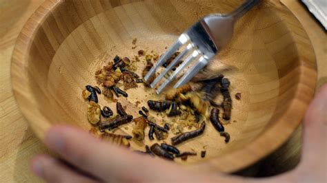 Gummy Bugs Nutritious Sustainable And Delicious Candy