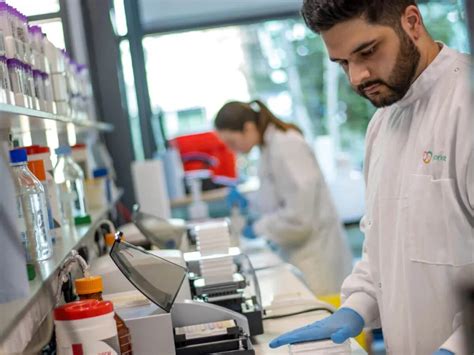 Lupin Allergy What Are The Signs And How To Manage Symptoms Yorktest