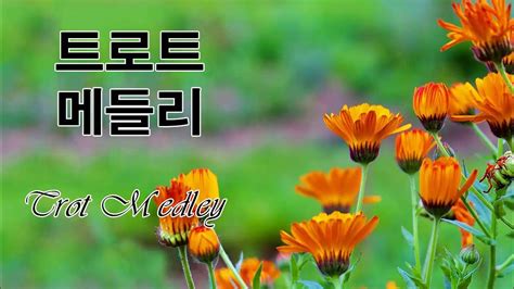 흥이 넘치는 트로트 메들리 가슴을 파고드는 트로트모음 밤업소 최고의 트로트 가요 모음 Youtube Music