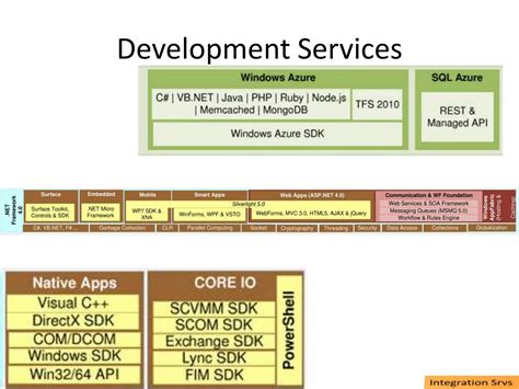 Microsoft Products And Classification Pptx