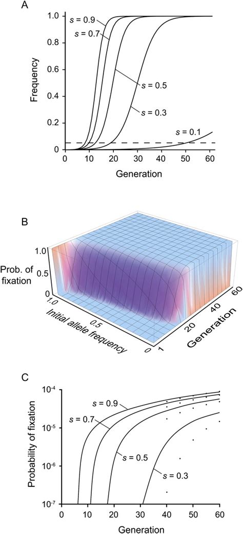 Selective Sweeps And Parallel Mutation In The Adaptive Recovery From Deleterious Mutation In