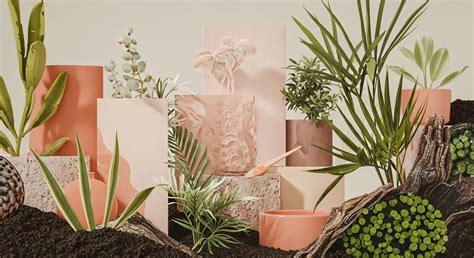 Self Sustainability → Term