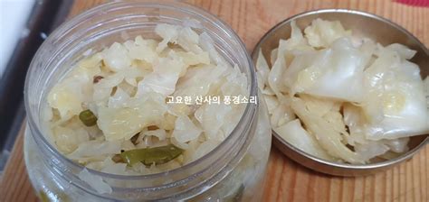 유산균 폭발 양배추 절임 레시피