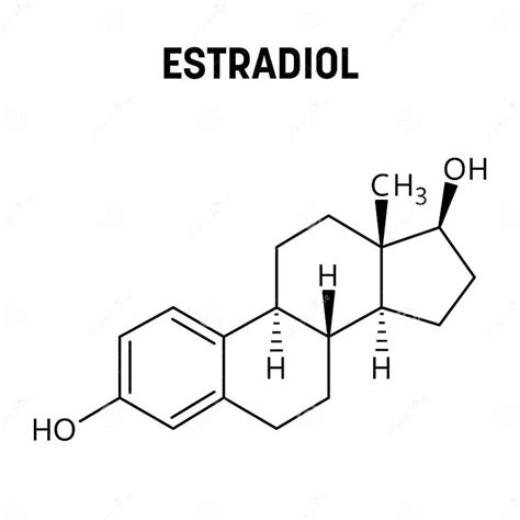 Estradiol Structural Formula Of Molecular Structure Stock Vector