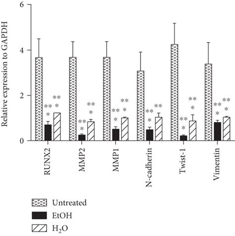 rt pcr imagej analysis a b mrna steady state levels for genes