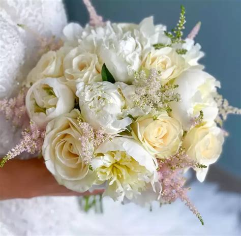 Wix 跨境电商独立站专家