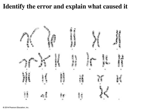 Meiosis And Sexual Life Cycles Ppt Download