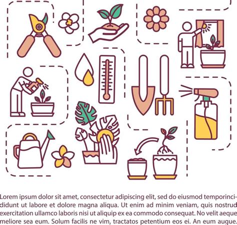 Plant Propagation Vector Art Icons And Graphics For Free Download