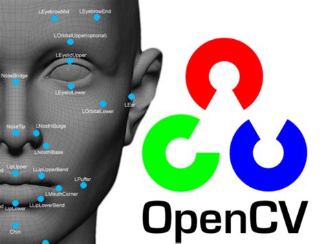 Yüz Tanıma İle Ehliyet Tespit Sistemi C Opencv Emgucv Eren Sarıgül