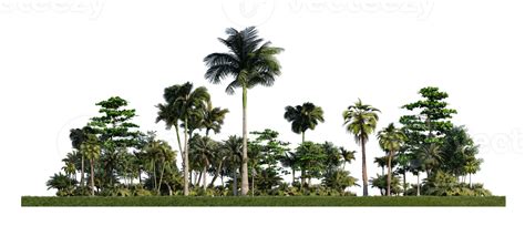 3d Rendering Trees On Grass Field 3ds Image